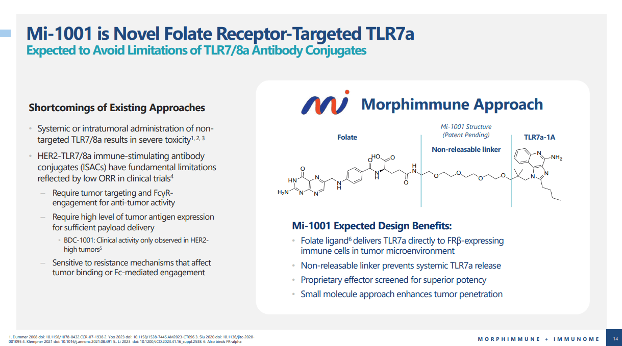 Immunome: The Morphimmune Merger And The Pipeline (NASDAQ:IMNM ...