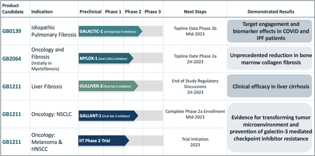 Galecto Biotech Collapse: Opportunity For Galectin Therapeutics (NASDAQ:GALT) | Seeking Alpha