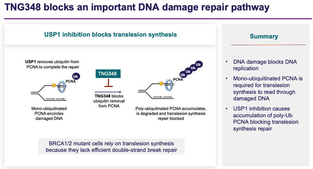 Tango Therapeutics: Making Its Way Into Clinic With 4 Cancer Drugs ...