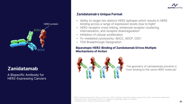 Zymeworks Stock: A Buy On Key Catalysts, Strong Cash Position (ZYME ...