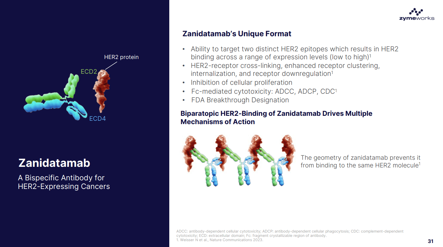 Zymeworks Stock: A Buy On Key Catalysts, Strong Cash Position (ZYME ...