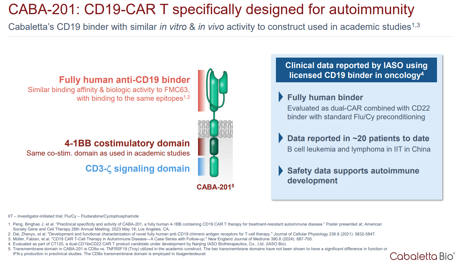 Cabaletta: Biotech With Large Potential, Plenty Of Cash (NASDAQ:CABA ...