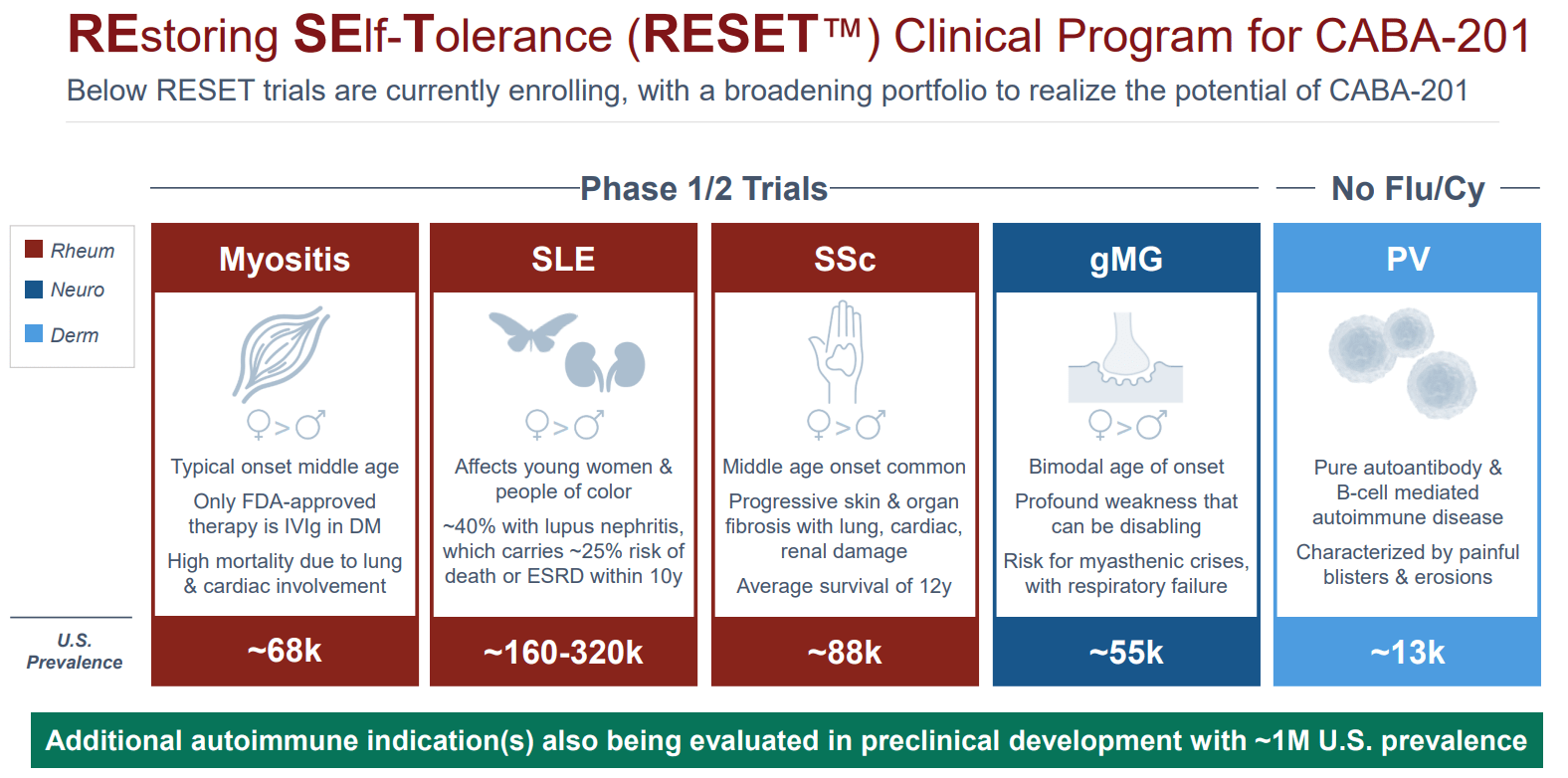 Cabaletta: Biotech With Large Potential, Plenty Of Cash (NASDAQ:CABA ...