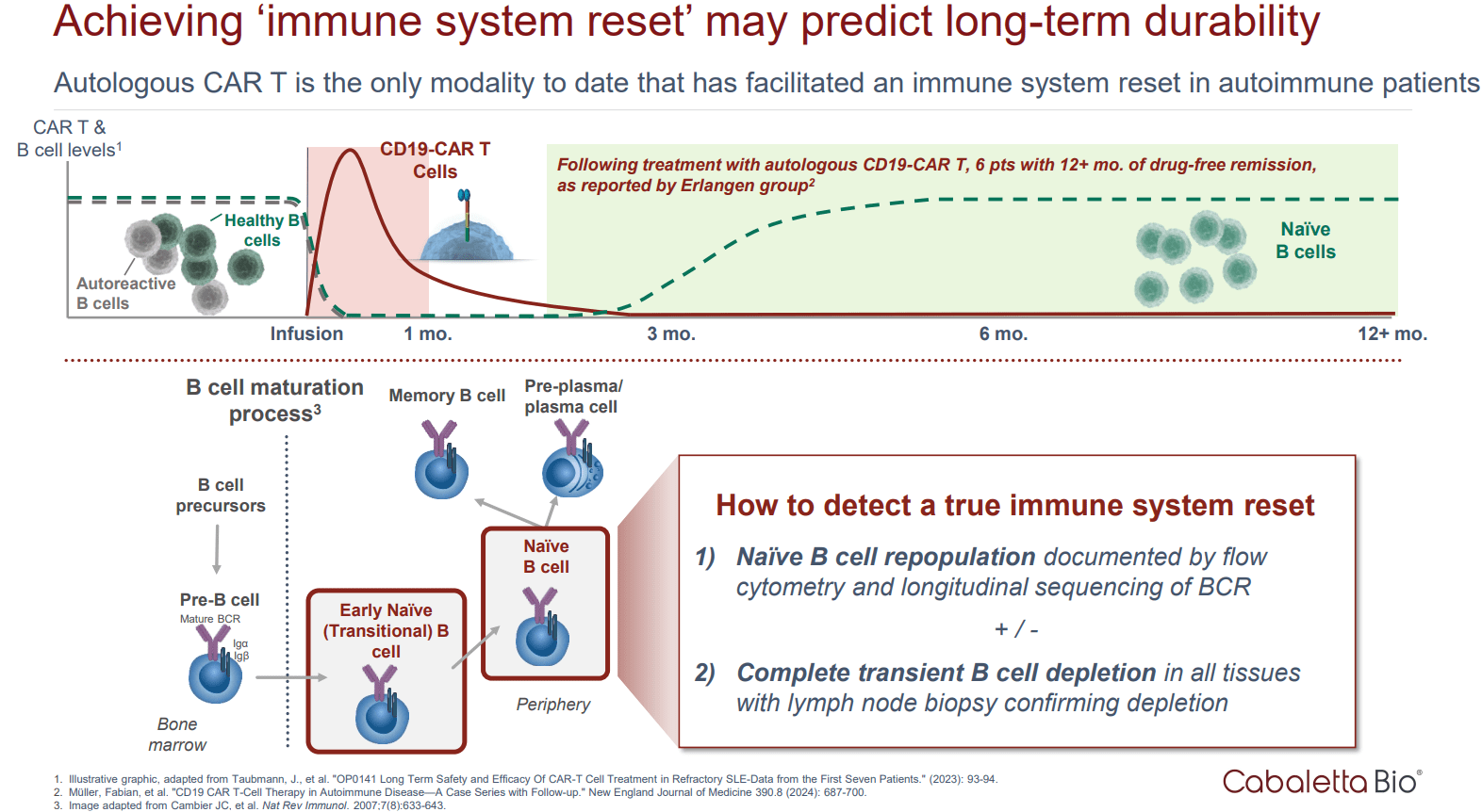 Cabaletta: Biotech With Large Potential, Plenty Of Cash (NASDAQ:CABA ...