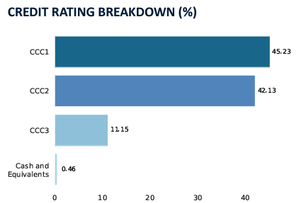 XCCC ETF: A Fund For Investors Who Love Risk, 11% Yield | Seeking Alpha