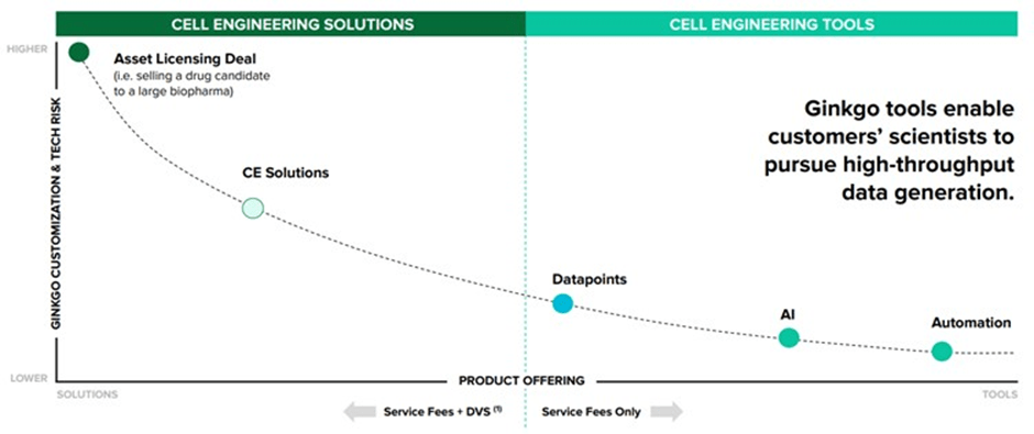 Ginkgo Bioworks: Unproven Transition But 2025 Is Looking Better (NYSE ...