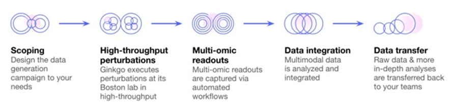 Ginkgo Bioworks: Unproven Transition But 2025 Is Looking Better (NYSE ...