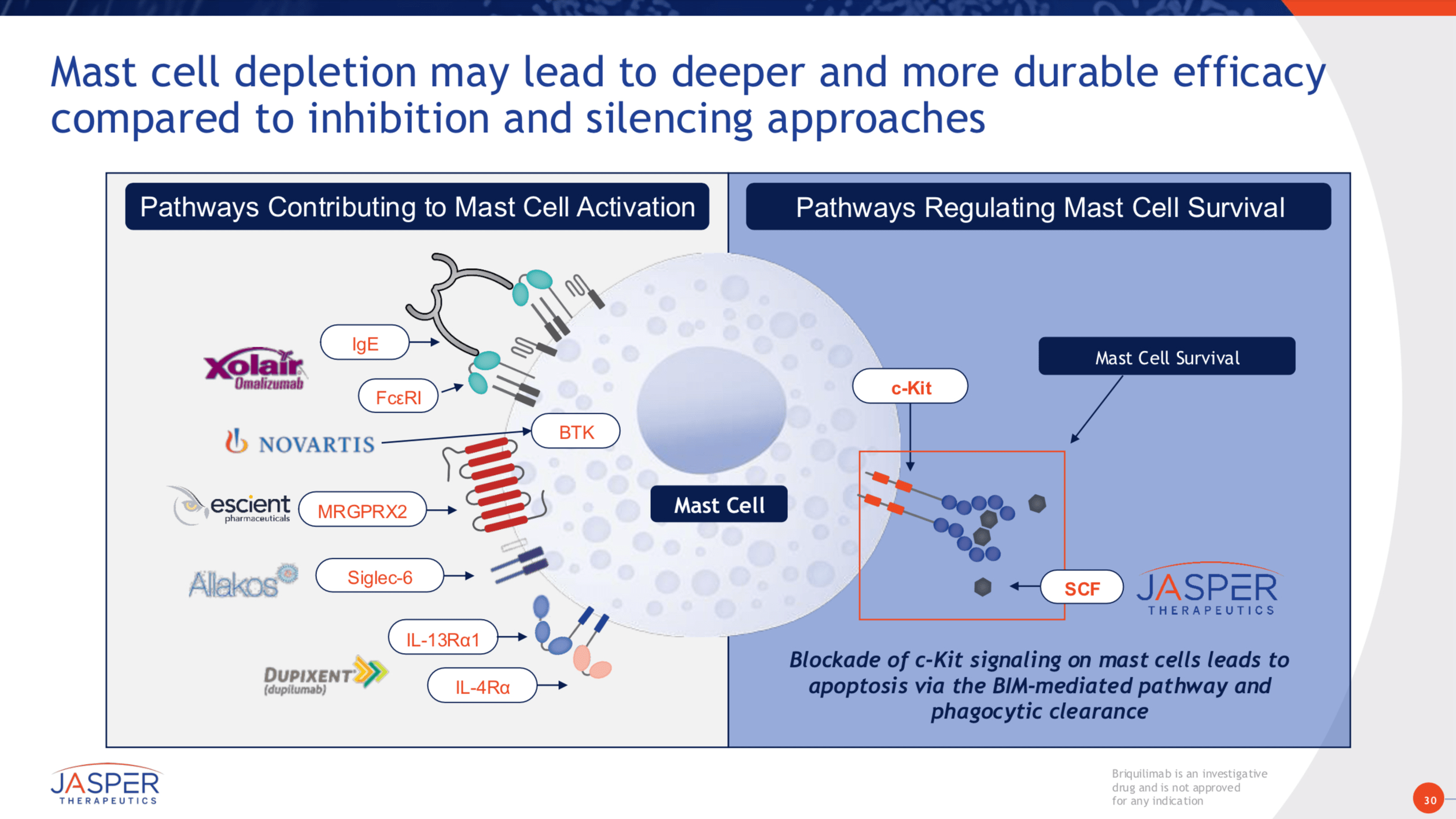 Jasper Therapeutics: Briquilimab's Potential In Chronic Urticaria And ...
