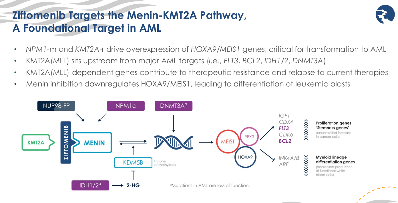 Kura Oncology: A Contender In The Field Of Precision Medicine | Seeking Alpha