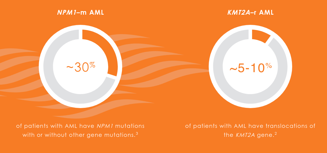 Kura Oncology Presents Deep Value At Today's Prices (Rating Upgrade ...