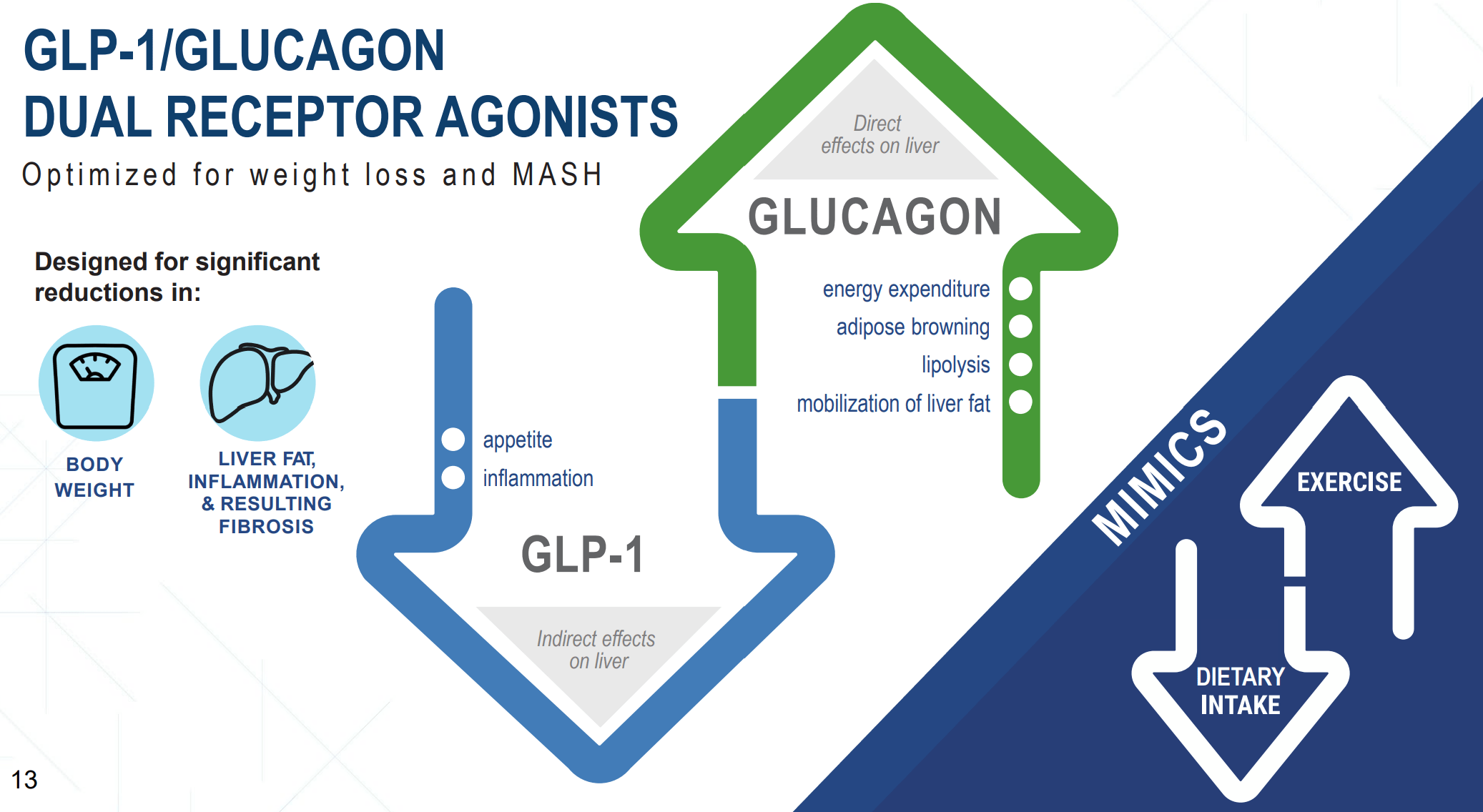 Altimmune 2025: Redefining Obesity And MASH Treatment (NASDAQ:ALT ...