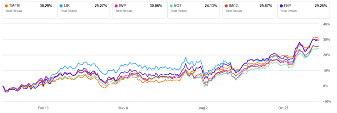 TMFM: Outperforming Its Peers In 2024, Yet Uncompelling (BATS:TMFM ...