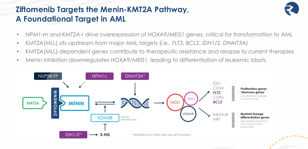 Kura Oncology: Sentiment Is Too Negative (NASDAQ:KURA) | Seeking Alpha