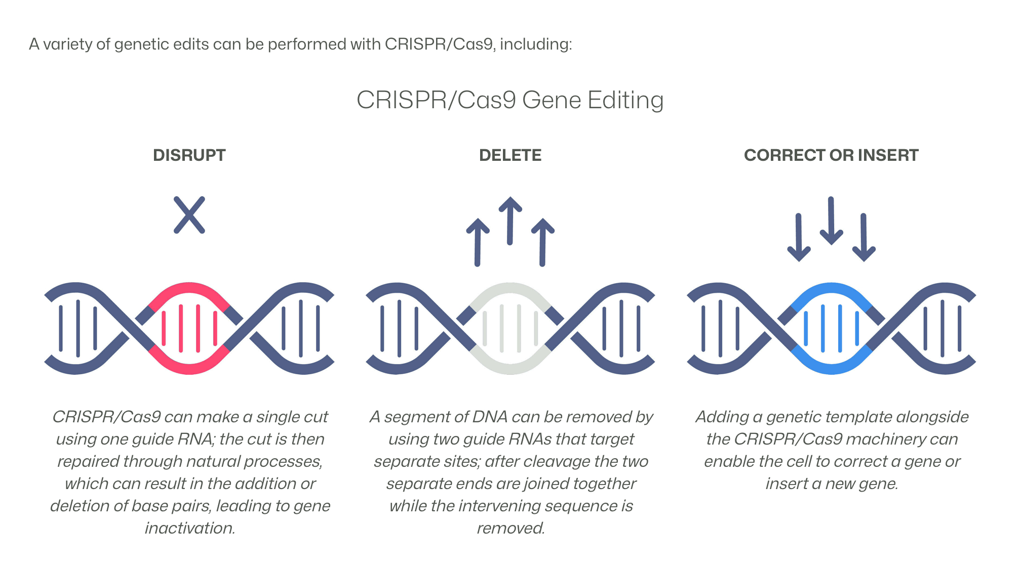 Crispr Therapeutics: From Casgevy Success To A Catalyst-Rich 2025 (NASDAQ:CRSP) | Seeking Alpha