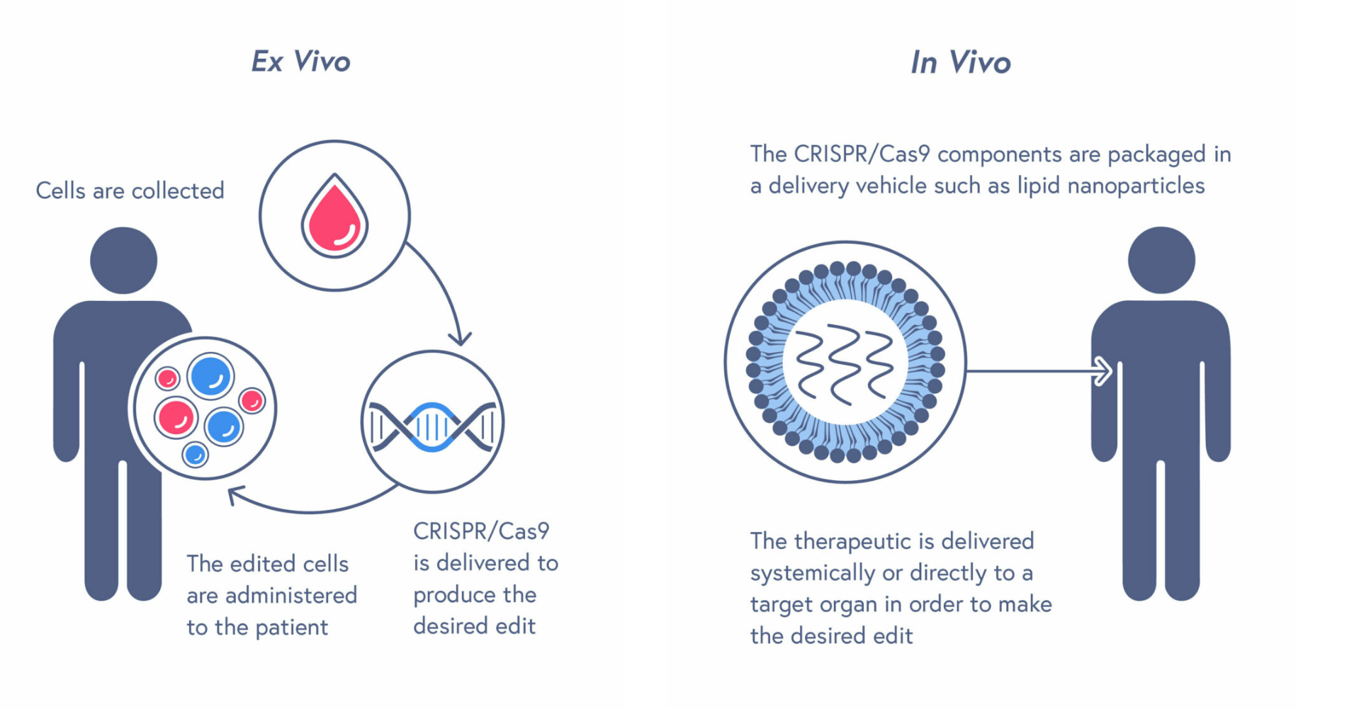 Crispr Therapeutics: From Casgevy Success To A Catalyst-Rich 2025 ...