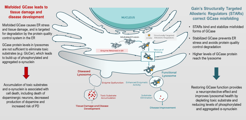 Gain Therapeutics: GT-02287 Keeps Racking Up Good Results | Seeking Alpha