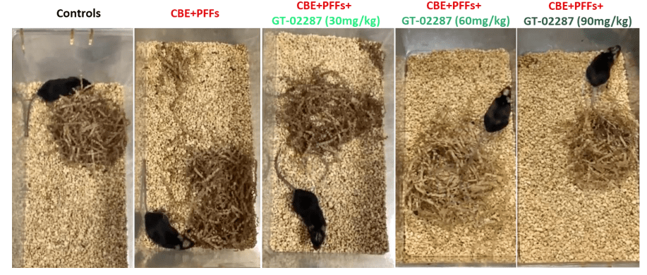 Gain Therapeutics: GT-02287 Keeps Racking Up Good Results | Seeking Alpha
