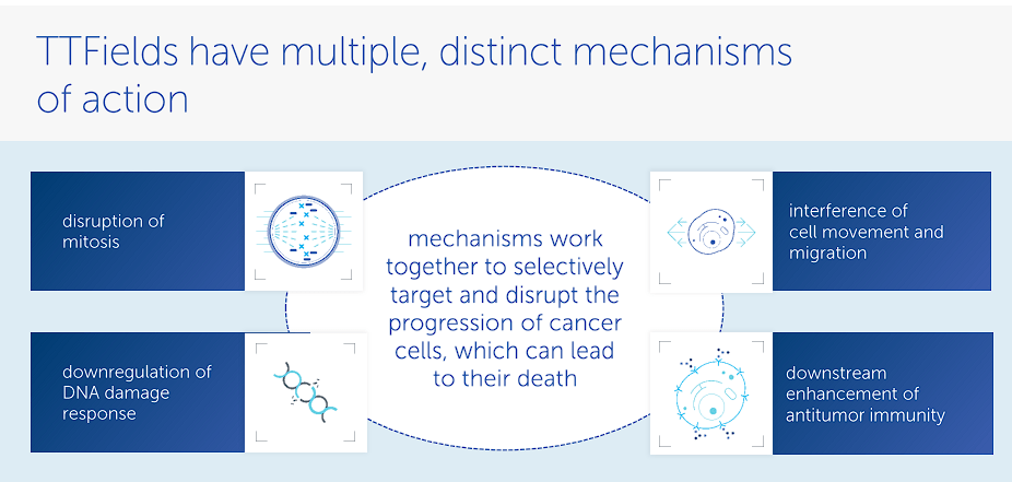 NovoCure (NVCR): PANOVA-3 Data Suggests A Potential Game-Changer For ...