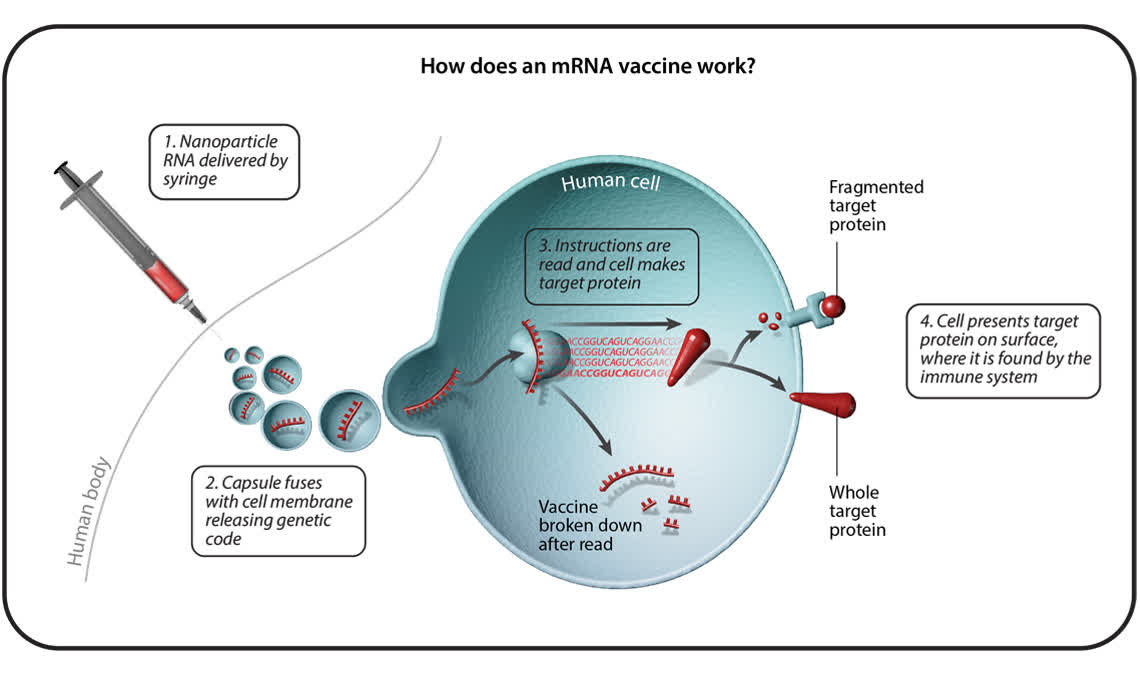 Moderna: Highly Uncertain Future For mRNA Vaccine In A Post-Pandemic ...