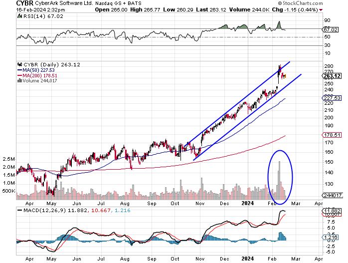 CyberArk Proved Its Subscription Transition Worked, But Stock Has Kept ...