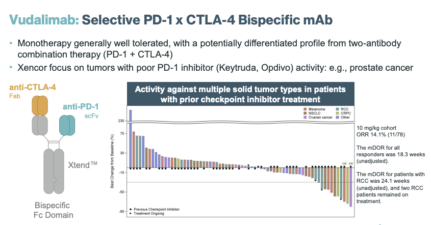 Xencor: Standing Out With XmAb Technology (NASDAQ:XNCR) | Seeking Alpha