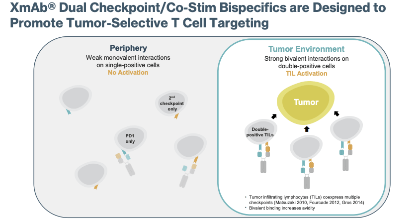 Xencor: Standing Out With XmAb Technology (NASDAQ:XNCR) | Seeking Alpha