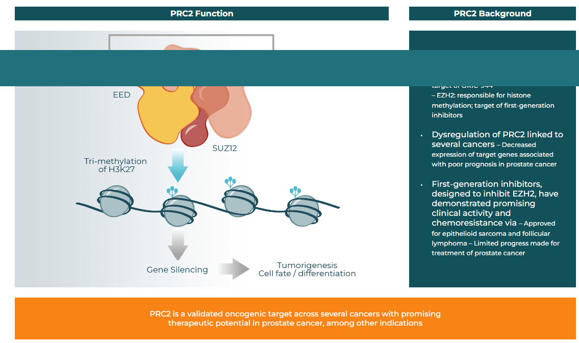 ORIC Pharmaceuticals Stock: Rally Seems Overdone | Seeking Alpha