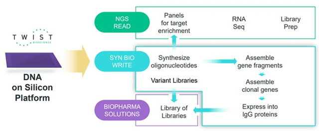 Twist Bioscience Stock: Near-term Upside Potential Limited | Seeking Alpha