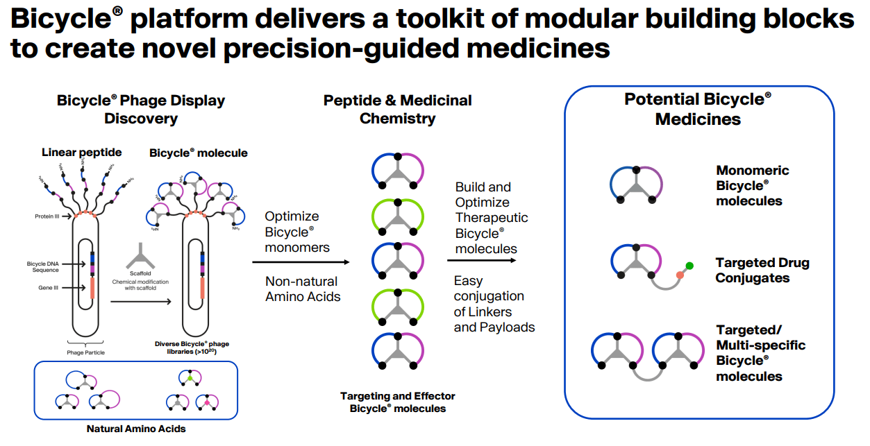 2 More Potential Biotech Buyout Targets | Seeking Alpha