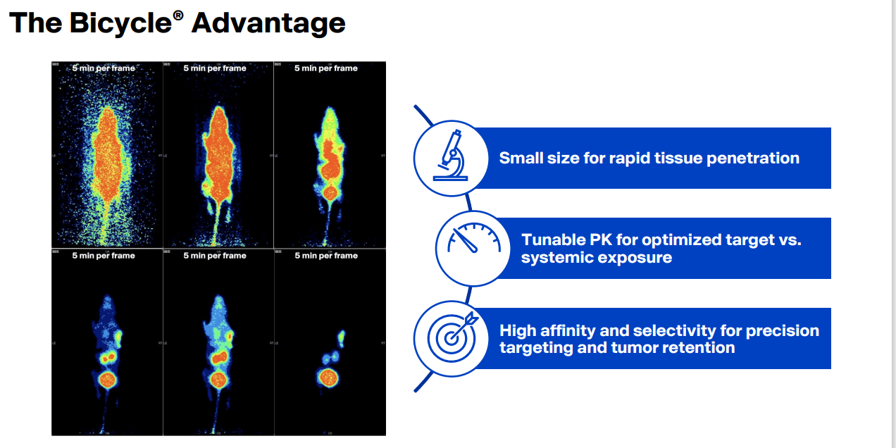 2 More Potential Biotech Buyout Targets | Seeking Alpha