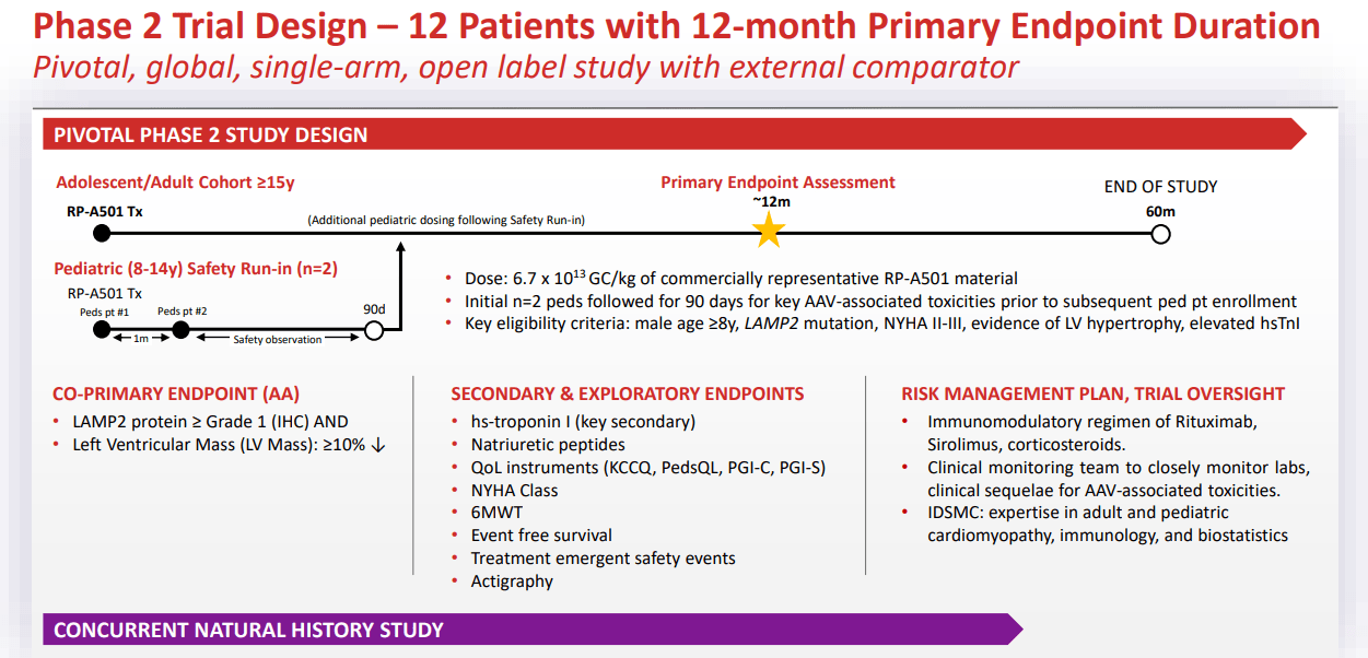 Rocket Pharmaceuticals: Cautiously Optimistic (Rating Upgrade) (NASDAQ ...