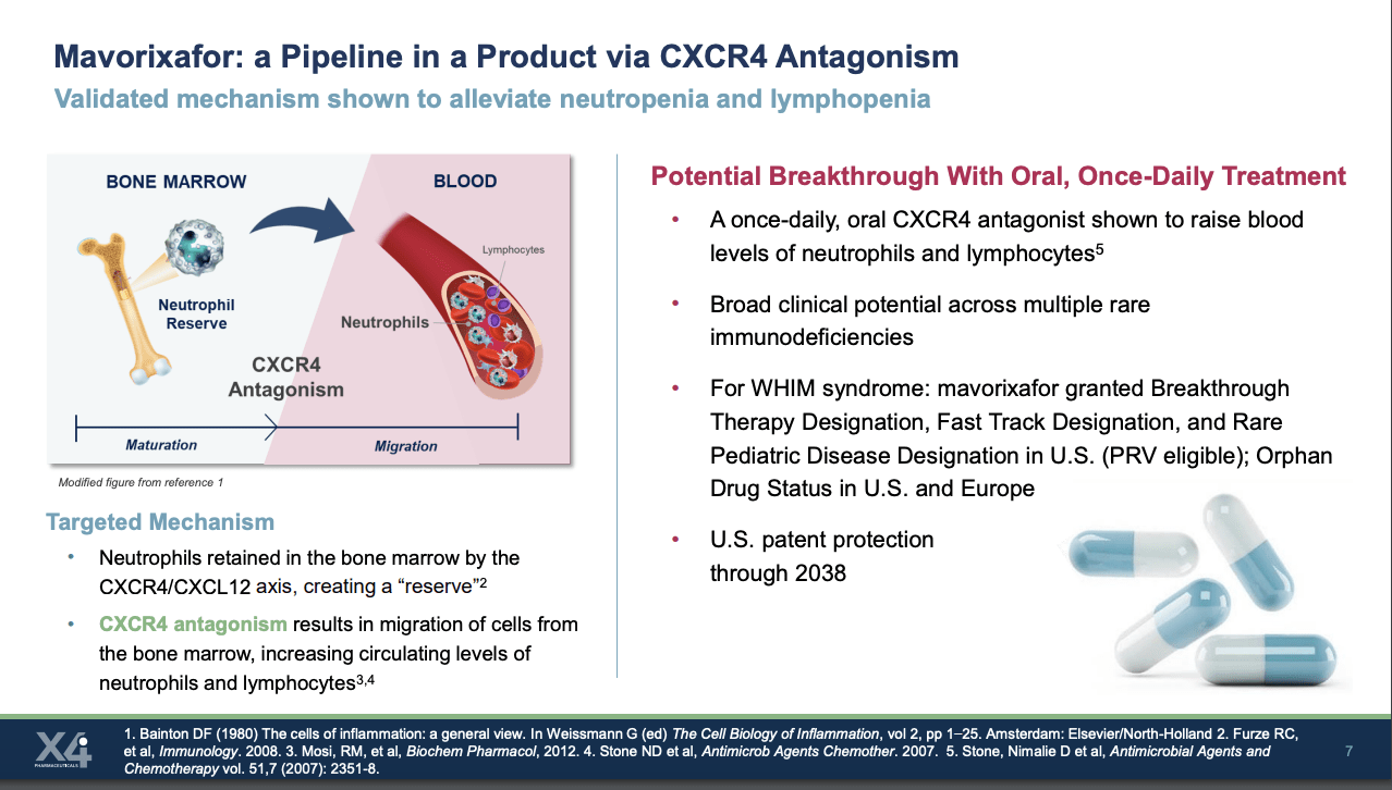 X4 Pharmaceuticals: PDUFA Excitement Ahead (NASDAQ:XFOR) | Seeking Alpha