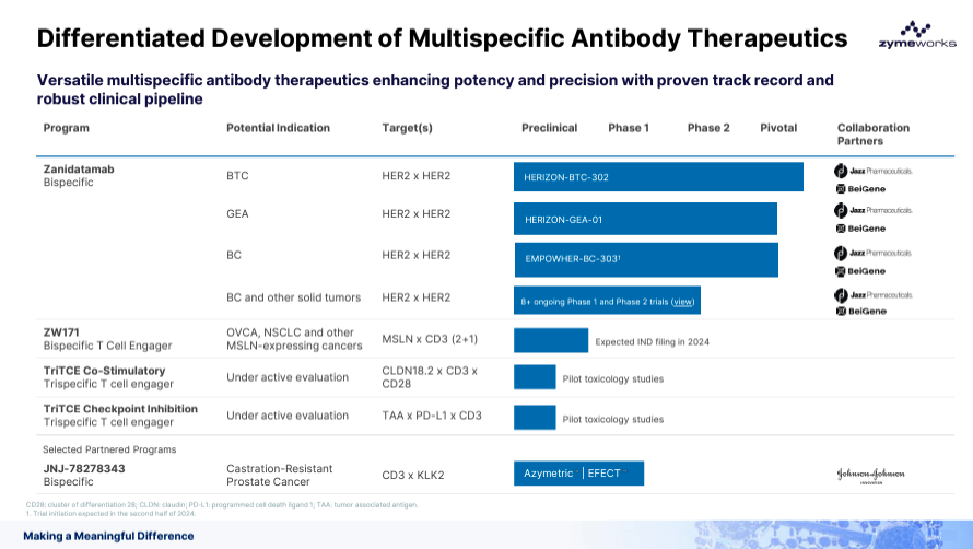 Buy Zymeworks Pioneering Cancer Treatments: Zanidatamab's Promising ...