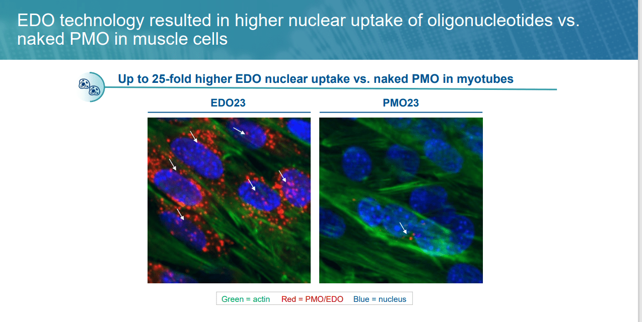 The Prognosis For PepGen (NASDAQ:PEPG) | Seeking Alpha
