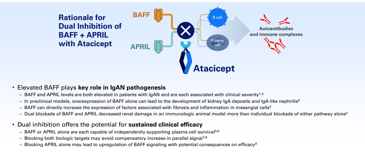 Vera Therapeutics: Waiting For A Pullback (NASDAQ:VERA) | Seeking Alpha