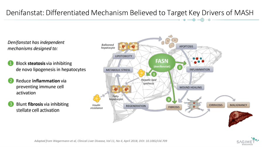 Sagimet Biosciences' Denifanstat Imminent Phase 3: A Promising ...