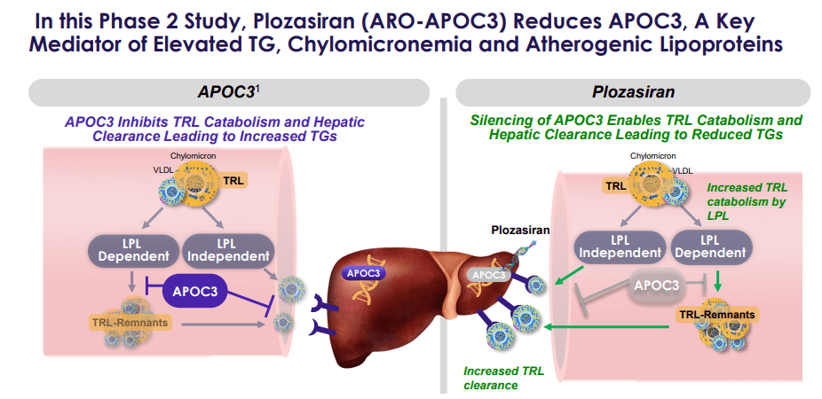 Arrowhead Pharmaceuticals: Hoping Something Sticks (NASDAQ:ARWR ...