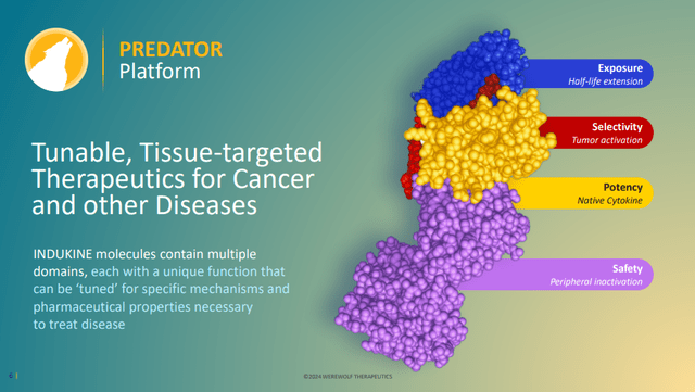 Werewolf Therapeutics: In The Hunt For Success In The Cytokine Space ...