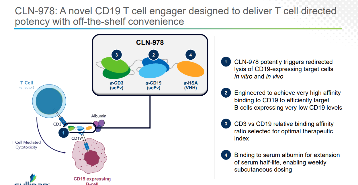 Checking Into Cullinan Therapeutics (NASDAQ:CGEM) | Seeking Alpha