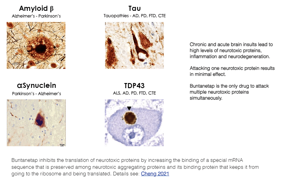 Impact Of Buntanetap Trial Results On Annovis Bio Stock And Future ...
