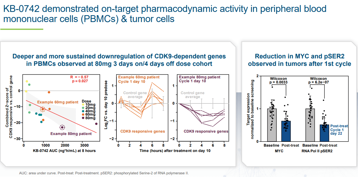 Kronos Bio: Still Promising But Riskier Following ASCO Update (NASDAQ ...