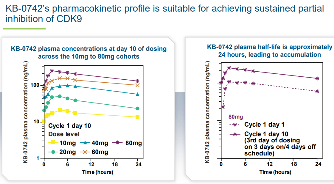 Kronos Bio: Still Promising But Riskier Following ASCO Update (NASDAQ ...