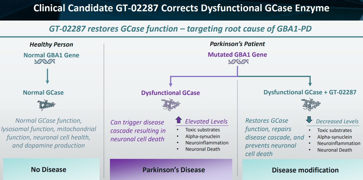 Gain Therapeutics: Phase 1 Readout Awaits For Parkinson's Drug With ...