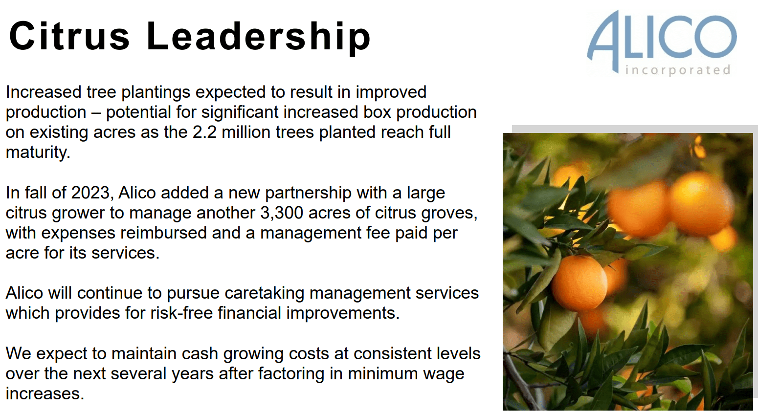 The Bottom Fishing Club: Buy Alico's Florida Orange Groves At 50% ...