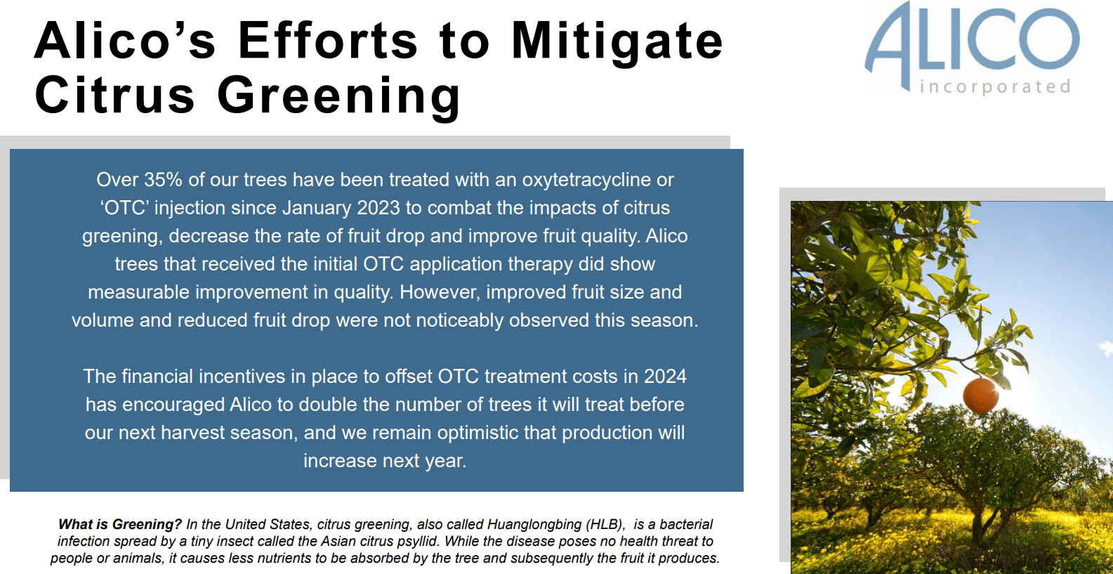 The Bottom Fishing Club: Buy Alico's Florida Orange Groves At 50% ...