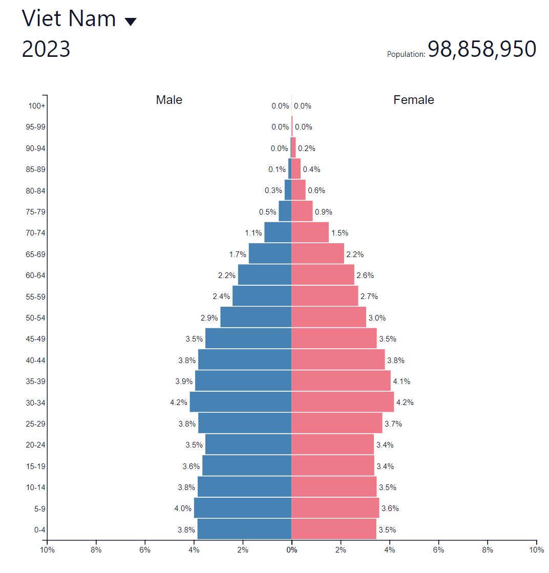 VNM: A Big Bet On Vingroup (BATS:VNM) | Seeking Alpha