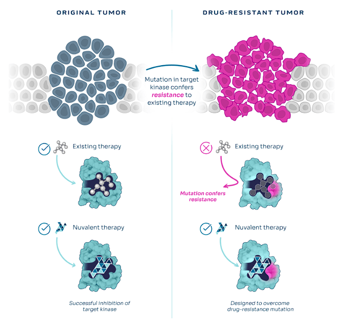 Nuvalent: NVL-655 Could Bring Blockbuster Potential (NASDAQ:NUVL ...