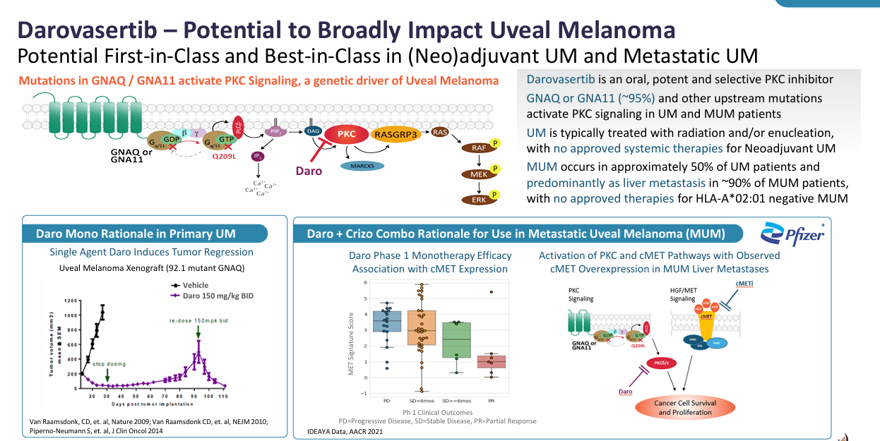 Ideaya Biosciences Continues Its Pursuit Of 'Synthetic Lethality ...