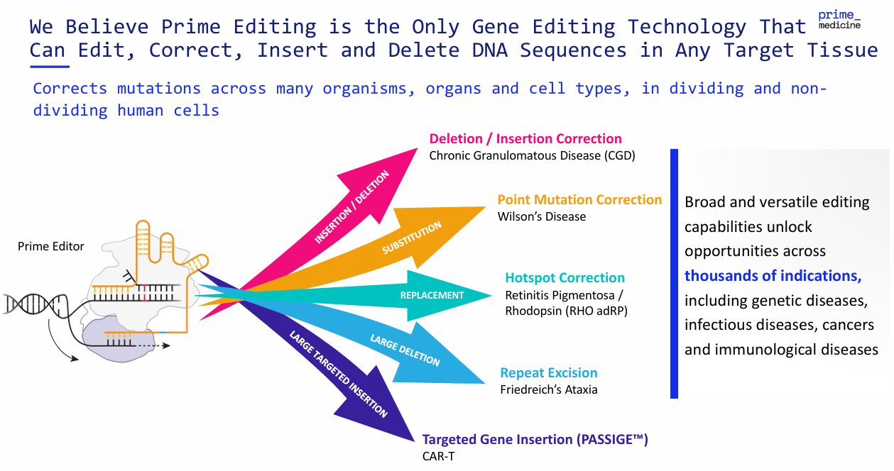 Prime Medicine Stock: Only For The Most Patient Of Investors (NASDAQ ...