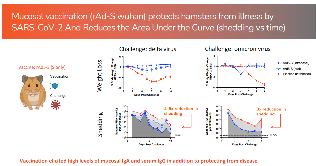 Vaxart Inc: Asymmetric Risk-Reward Opportunity Following BARDA Funding ...